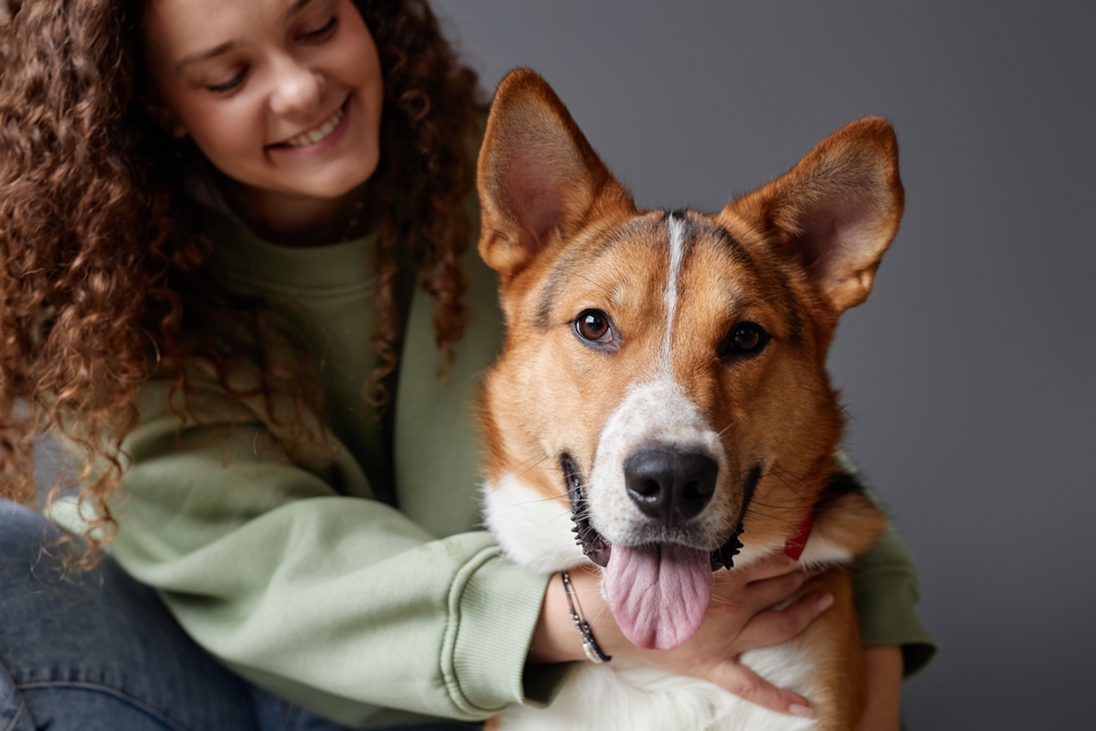 Esa Letter Template How To Stay Within Legal Guidelines Emotional