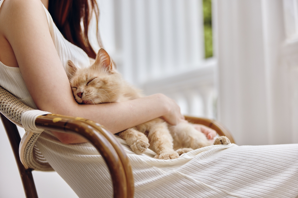 Guide to Kansas Emotional Support Animal (ESA) Laws - Emotional Support ...
