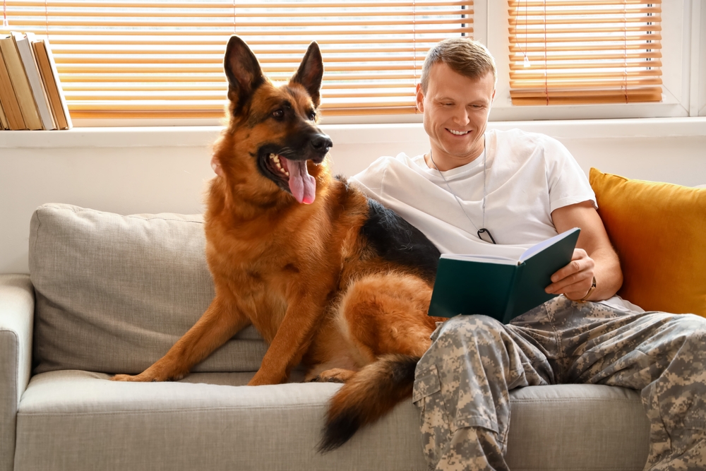 What Is a Psychiatric Service Dog: Everything You Need to Know ...